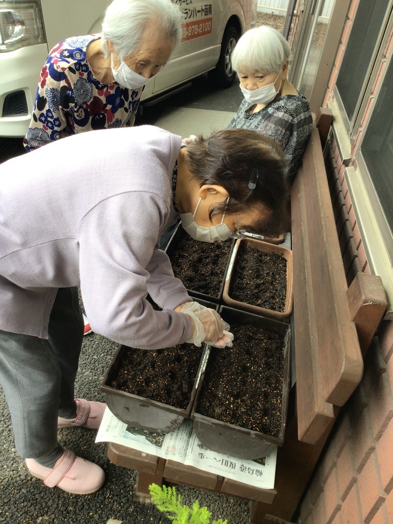 ル・グランハート函南〜朝顔の種まき〜: ル・グランガーデンの行事などを紹介していきます